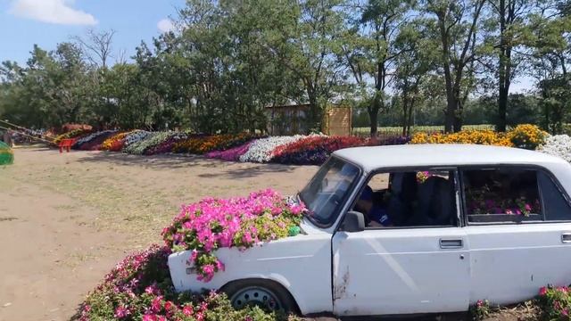 Видеоблог как мы провели выходные, арбузный рай бахча Пономаревых