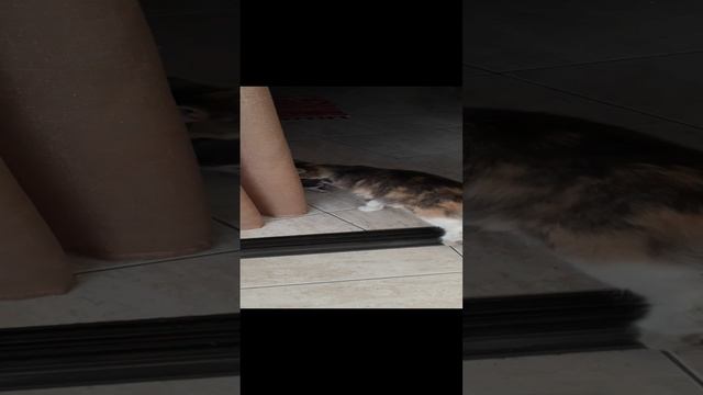 Mама Scruffy спасает Pinky.