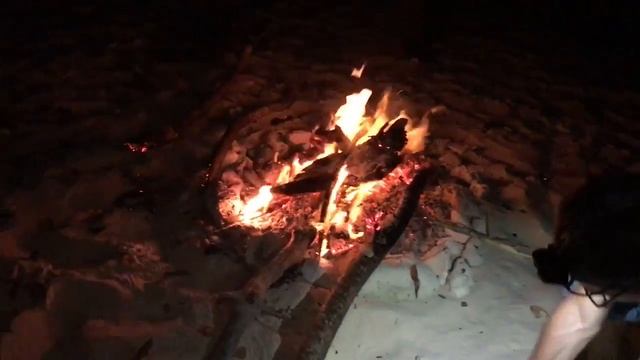 Индия 2017 Адаманы остров Роз От Селькова