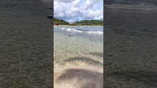 49)Шри-Ланка. Самый красивый Пляж Унаватуны.
Шри Ланка за 58 тысяч рублей с перелетом. Тутси влог.