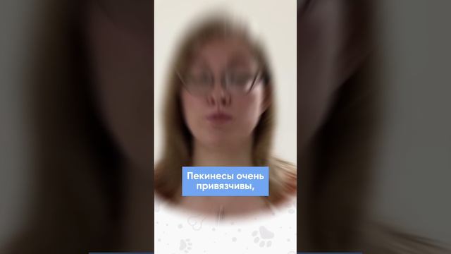 Маленькая собака для квартиры 🙌🏻 Часть 10 #кинолог #собака #АннаТимофеева #современныйсобаковод