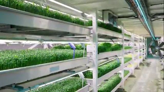 Roadmap B2+ Unit 2 Growing Underground