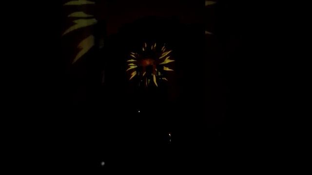 Световое шоу на стенах зданий в Ботаническом саду  на фестивале "Сад света" 2021