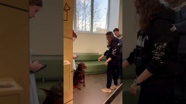 Бэкстейдж "Оригами" #backstage #shorts