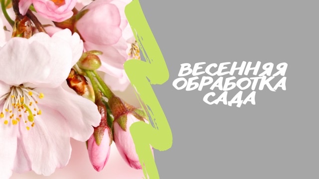 Первая весенняя обработка сада? до распускания почек?☘️?