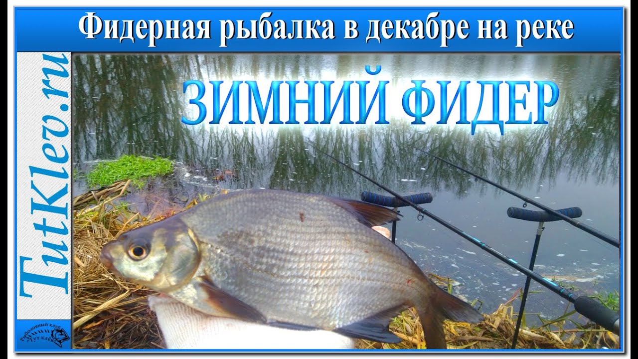 ФИДЕРНАЯ РЫБАЛКА в декабре! ЗИМНИЙ ФИДЕР на реке Оскол.mp4