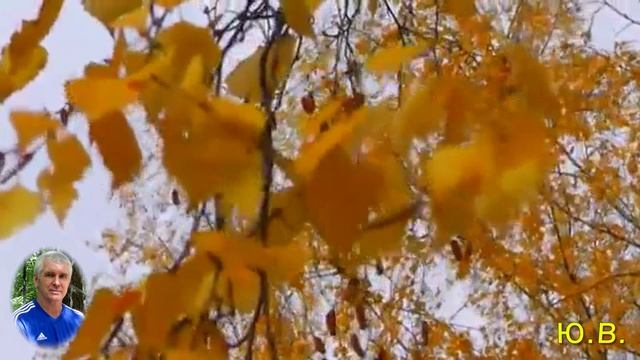 анс. Воркутинцы. Помнишь над лесом избушка стояла..mp4