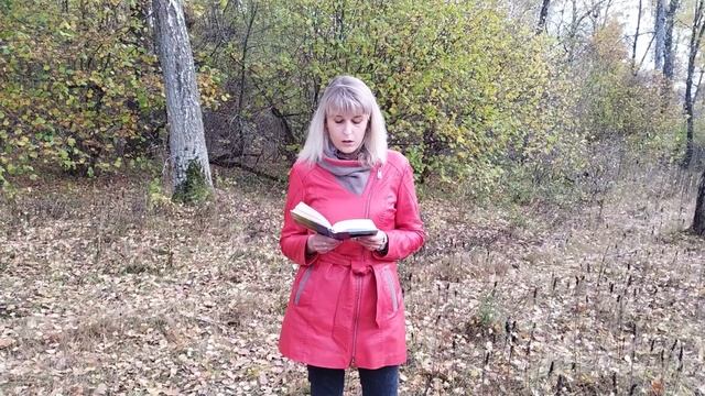 Пришвин М. М. «Ель и береза»