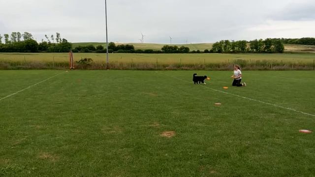 AWI Qualifier Austria'17 Diana & Josie R2.mp4