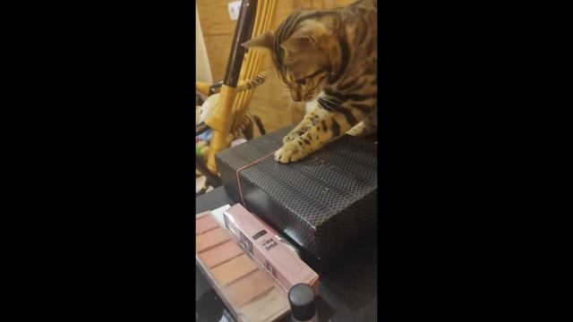 #shorts Ну как открыть эту коробку_ ?❤?