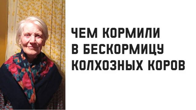 Чем кормили в бескормицу колхозных коров
