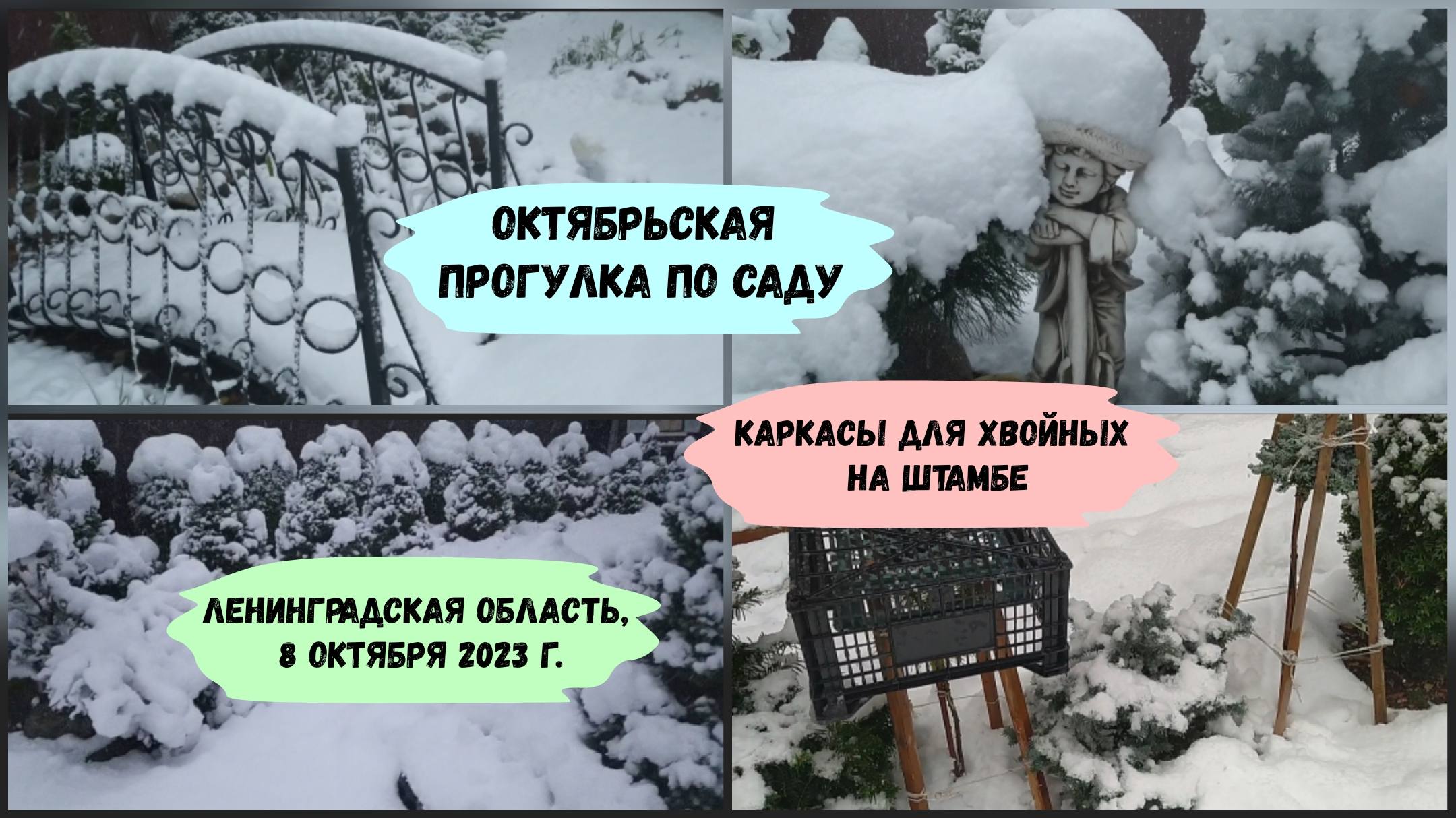 Октябрьская прогулка по саду. Опоры для хвойных растений на штамбе.