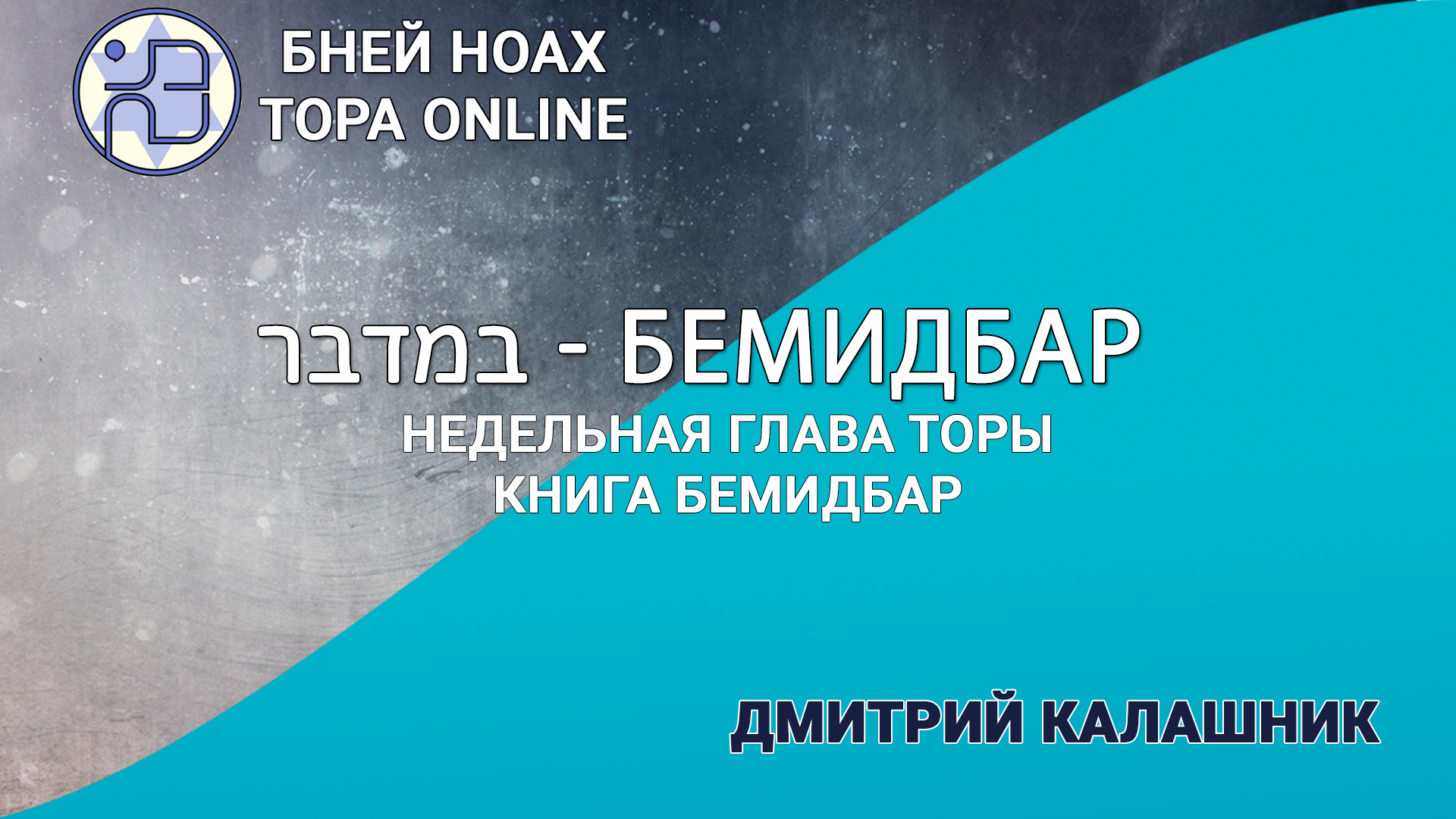 Недельная глава Торы - Парашат а-шавуа -  "Бемидбар" 5784/2024. Дмитрий Калашник
