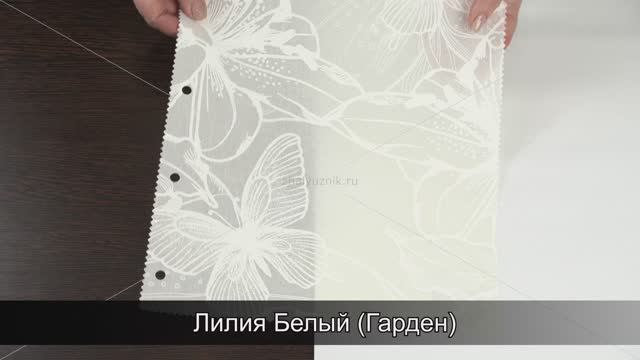 Лилия Белый (Гарден)