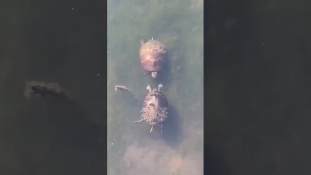 отложенная и 18+ №1Rutube СтудияRutube СтудияRutube СтудияRutube СтудияRutube СтудияRutube СтудияRut