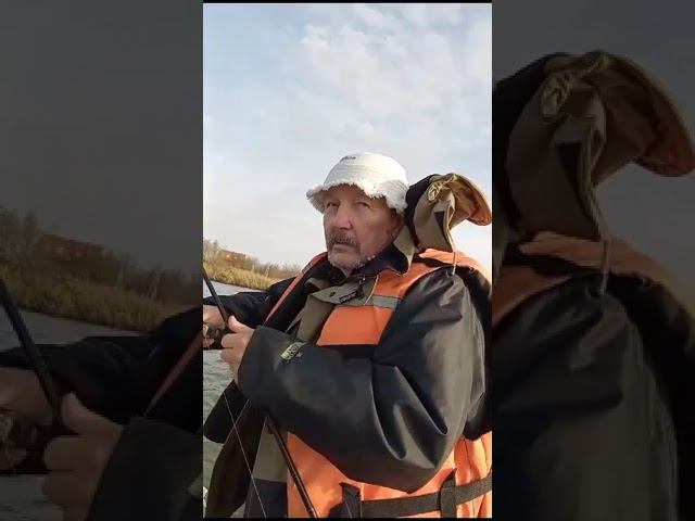 Сазанчик 5 ноября,вблизи Ростова.