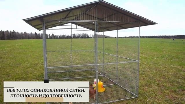 Выгул _Разгуляй_ для домашней птицы. Выгул для кур. Выгул для уток, гусей, индюков