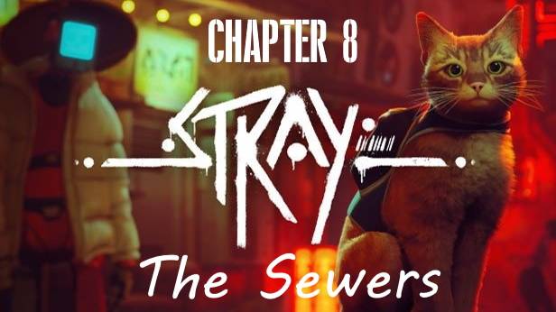 Stray Gameplay 4K UHD. Chapter 8: The Sewers