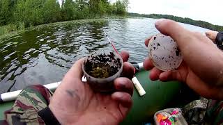 Ловля окуня. оз.Казалма. Выбрались на пару часиков на природу)))