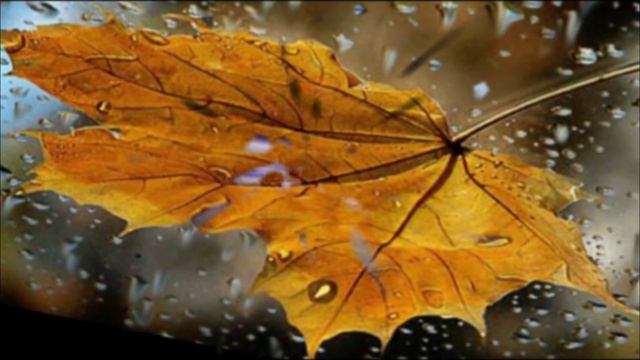 ОСЕНЬ НЕ РАЗЛУЧИТ НАС