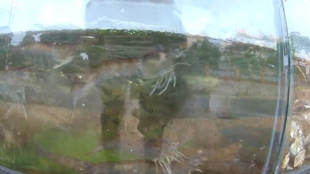 Набережная Вьетнам морские гады в гриль бар BOKE