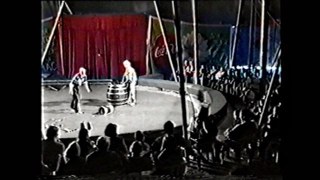 "Кузнечик" Котов-Керма 2002