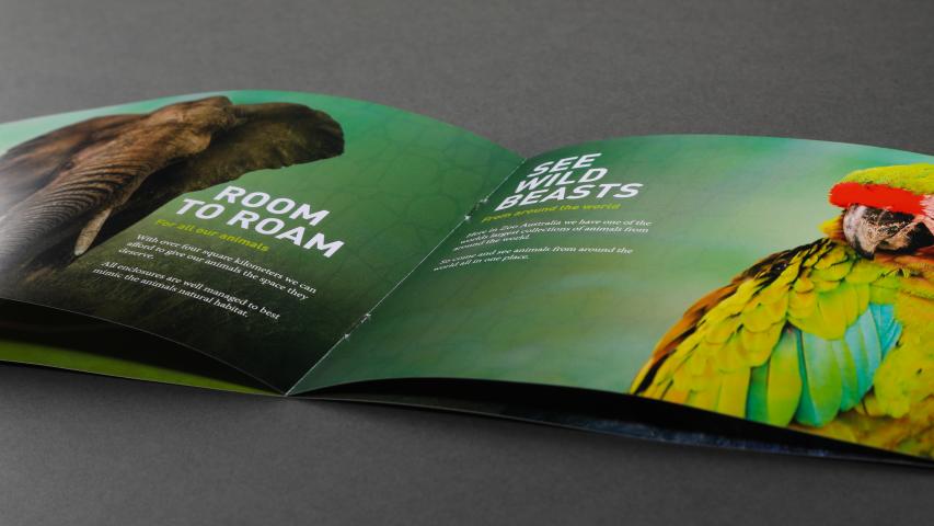 Образец готовой продукции_брошюра