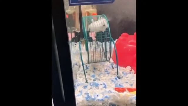 Топ приколы | Ржака | Смешные моменты из жизни №6