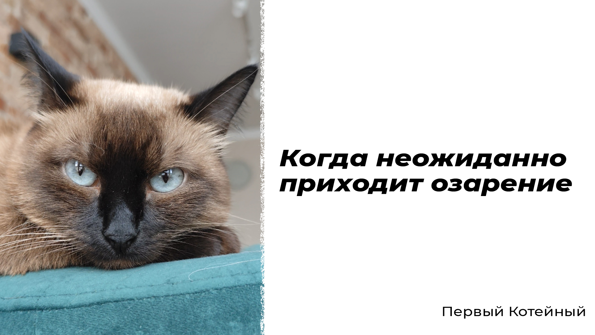 Когда неожиданно приходит озарение ?