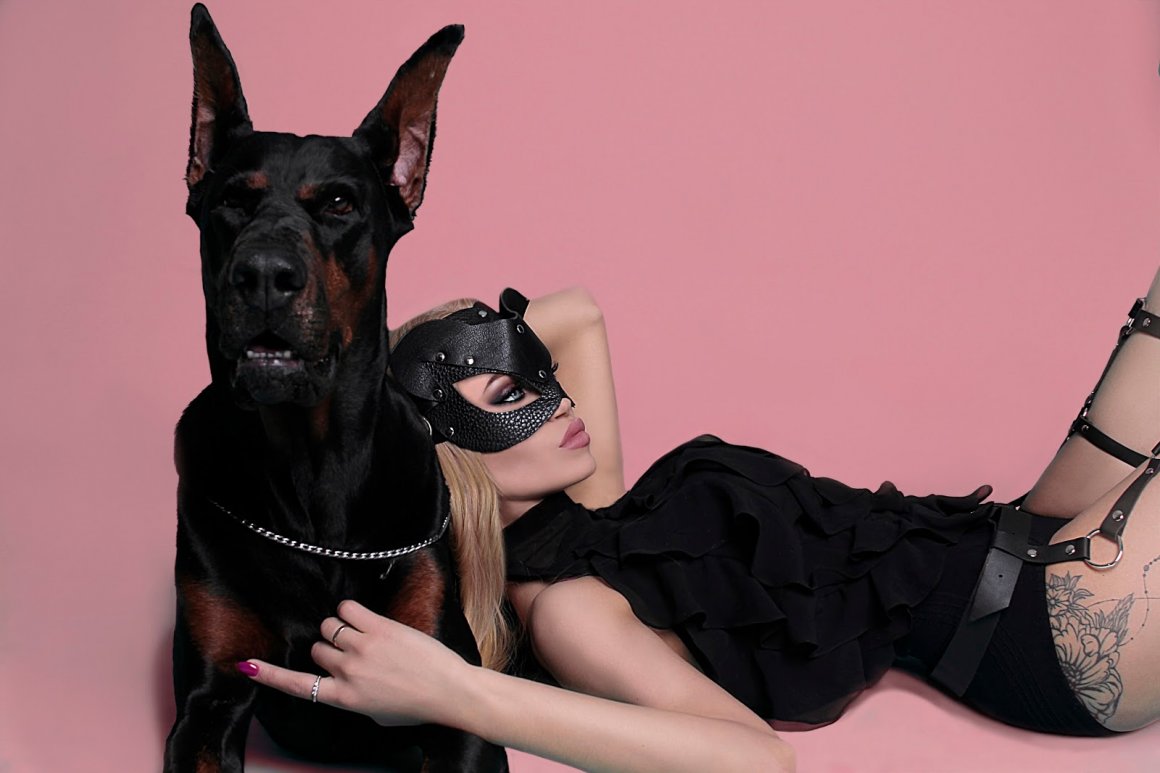 Смешные Кошки ? Смешные Собаки ? 2023 и Разные Животные, 10 Минут Смеха ? #56