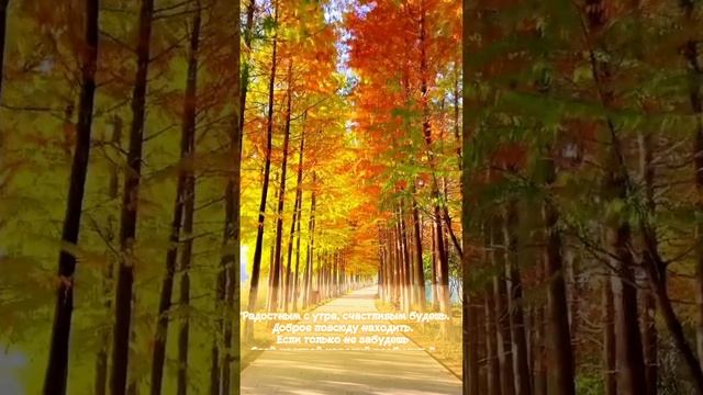 Радостным с утра, счастливым будешь