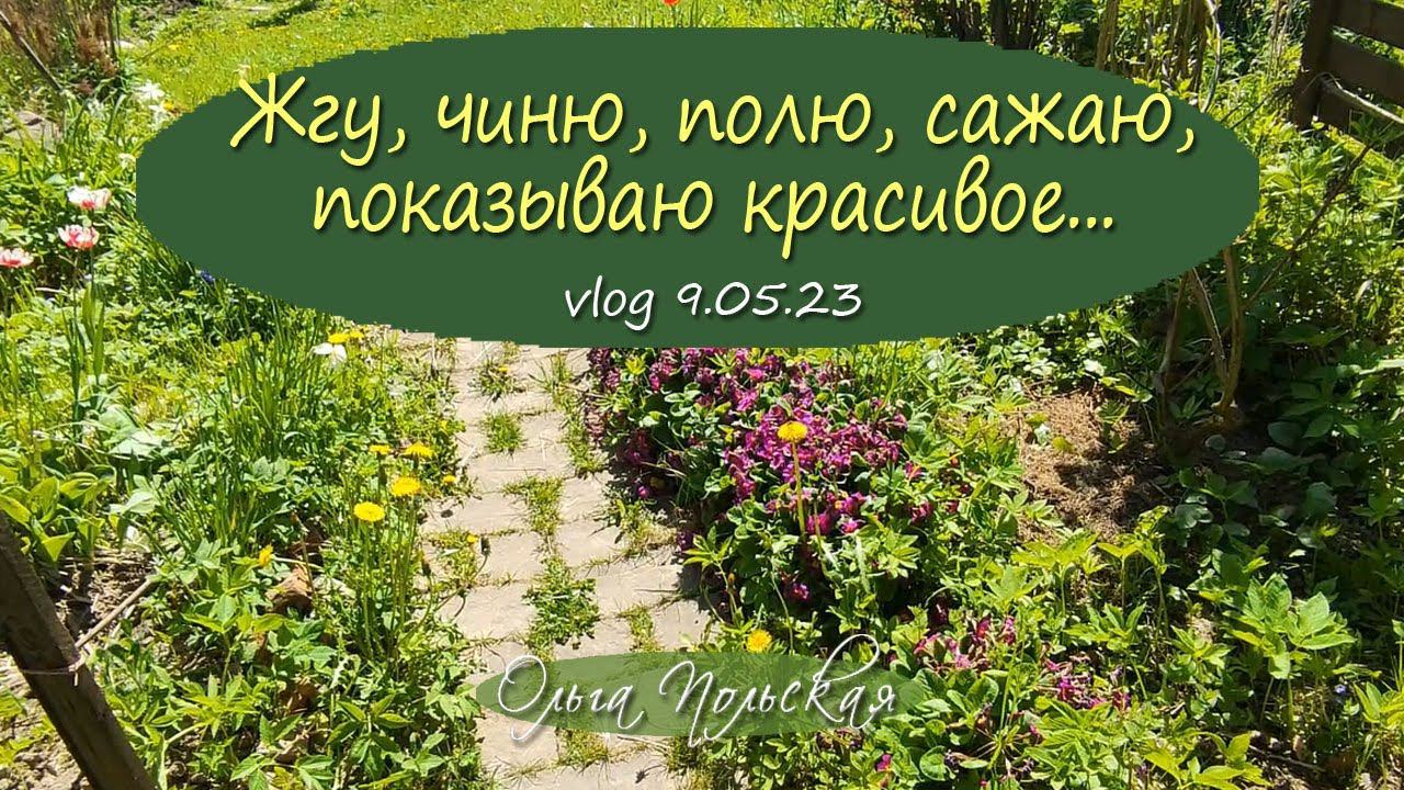 Жгу, чиню, полю, сажаю, показываю красивое... |  Vlog Дача как есть. Хроника 17.05.2023