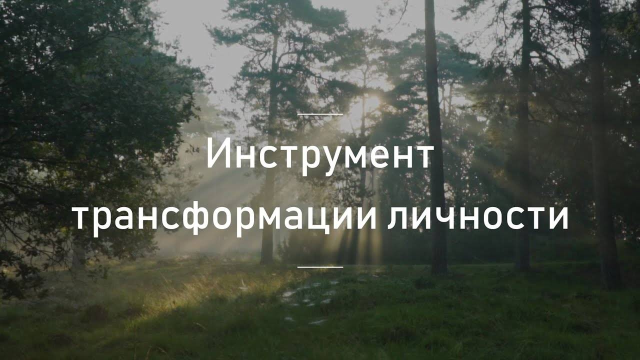 Цель дисциплины в саморазвитии | Размышления о жизни