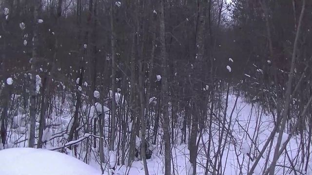 19.12.2023. (1)В угодьях со Степанычем.