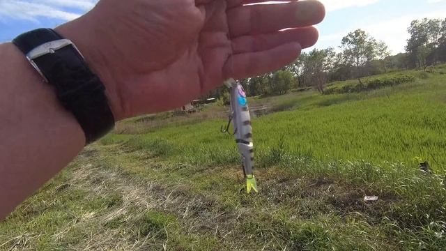 Рыбы нет, но настроение хорошее