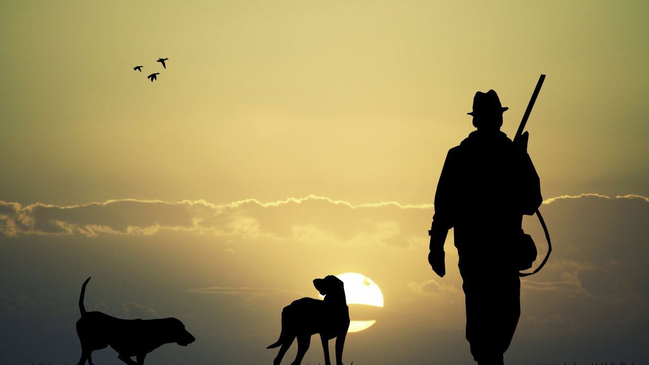 theHunter: Call of the Wild. Лейтонский край, выполняем задания № 9