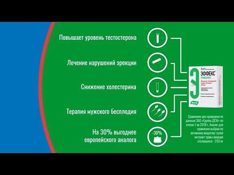 Видеопрезентация Эффекс средняя 2019