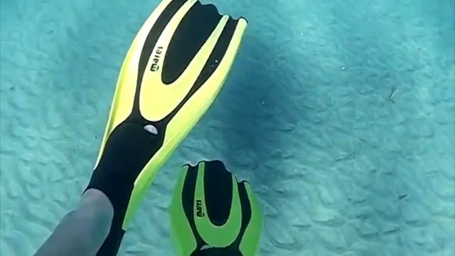 Как выбрать ласты для плавания и дайвинга?