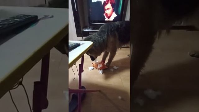 Немец Туман