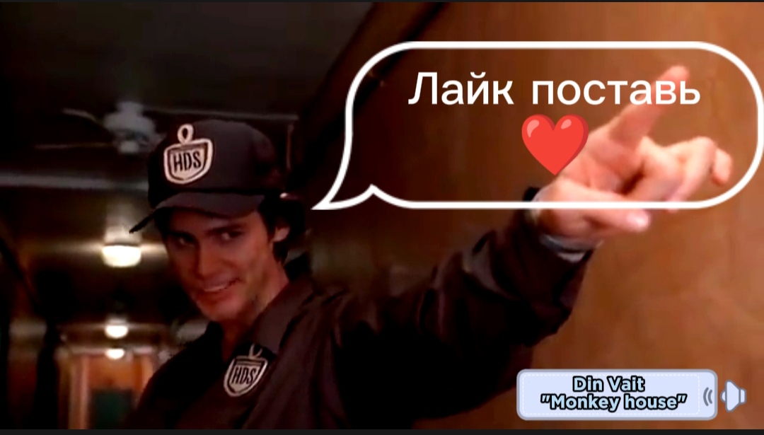 Din Vait - Monkey House | Эйс Вентура