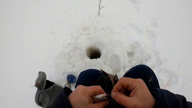 Рыбалка с приключением.mp4