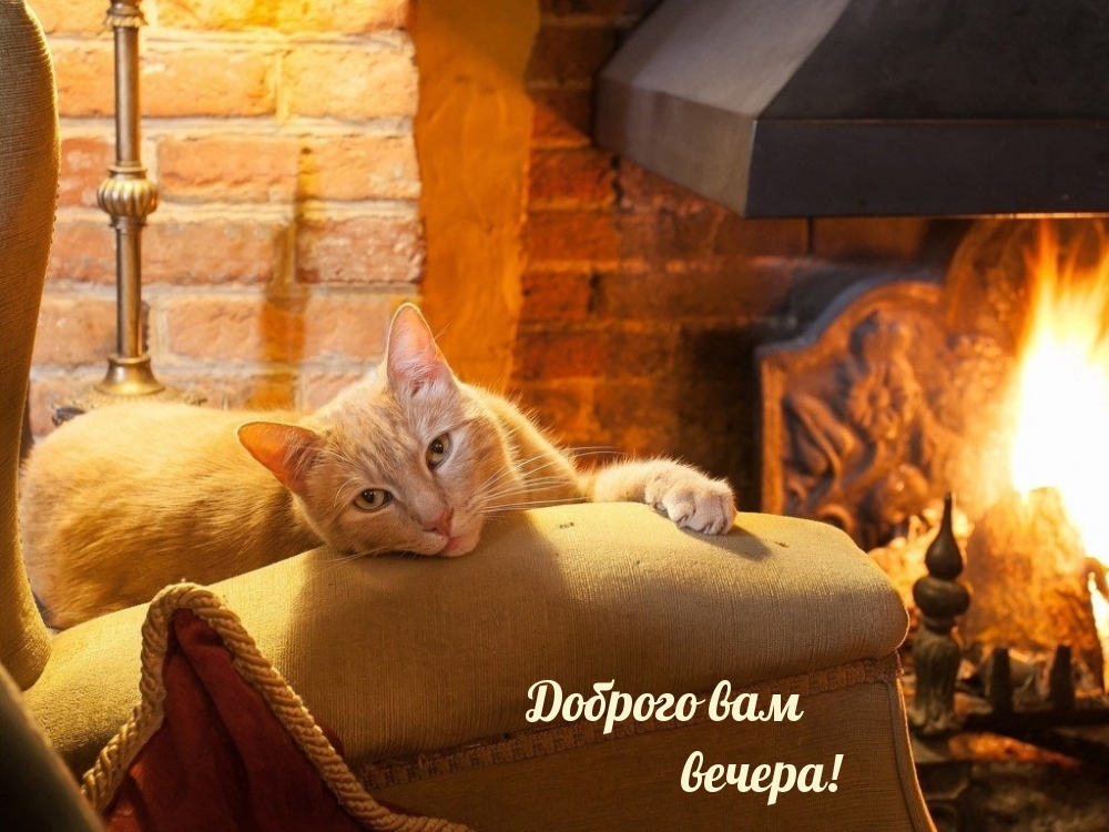 Пожелание Доброго Зимнего Вечера! Зимний вечер открытка? Добрый Вечер!