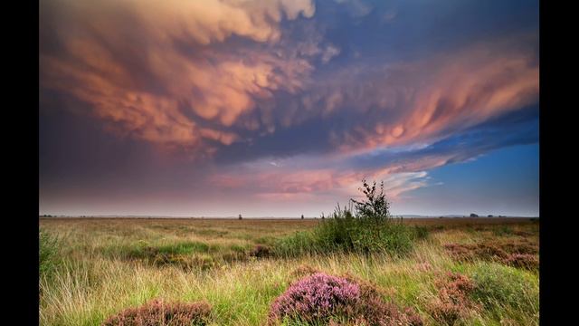 Василий Макеев. Что спрашивать ветер
