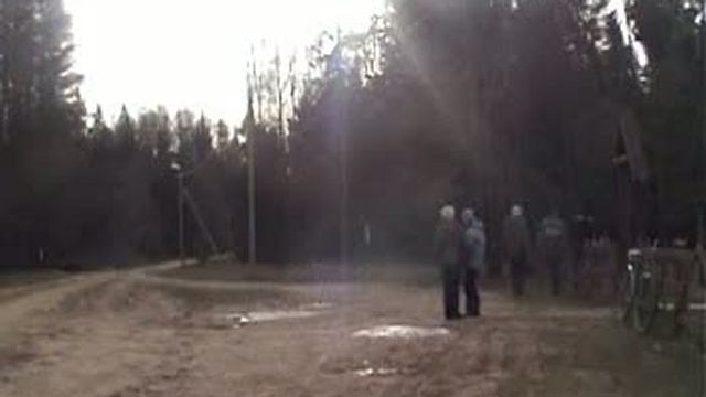 Там где живут совы
