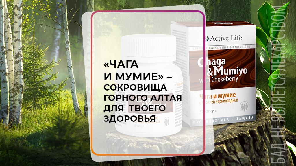 «Чага и мумие» – сокровища Горного Алтая для твоего здоровья
