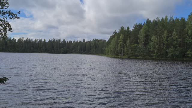 Большая торрентовка на Луговых озёрах (2021)