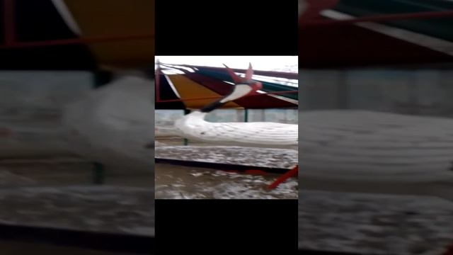 ВАМ ПОВЕСТКА. сезон 2 серия 1