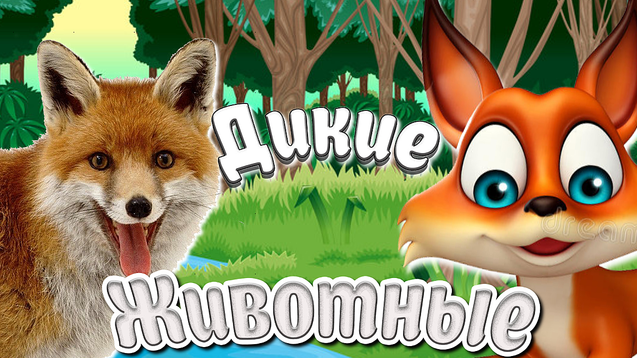 ДИКИЕ ЖИВОТНЫЕ+ КАК ГОВОРЯТ ЖИВОТНЫЕ + Развивающее и Обучающее видео ДЕТЯМ + ЖИВОТНЫЕ, ГОЛОСА, ЗВУКИ