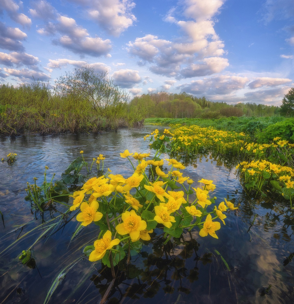 "МЕДЛЕННО, НО НЕУКЛОННО". (Фото М.. УСТЮЖАНИНА (Белая Холуница), муз. - Alireza Lachini & Reza Tajb