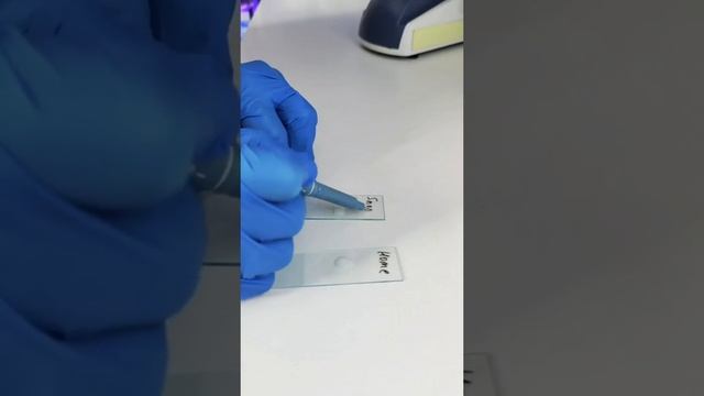 VID_20221223_222949_421.mp4